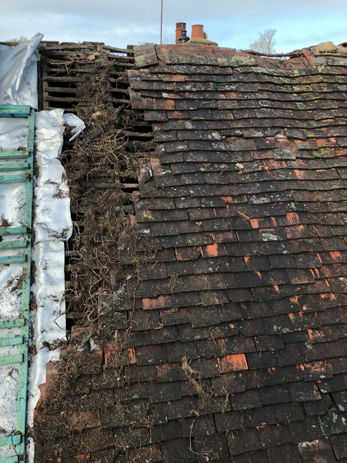 Pitched Roofing – Eclectic Roofing